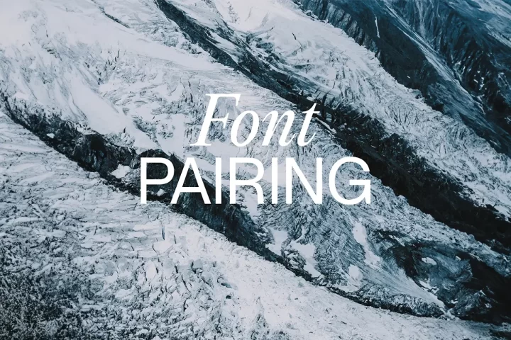 April 2024 - What We've Been Up To - Twilo Creative